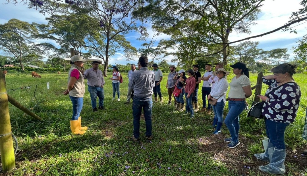 Más de 500 fincas participarán en proyecto para crear sistemas de ...