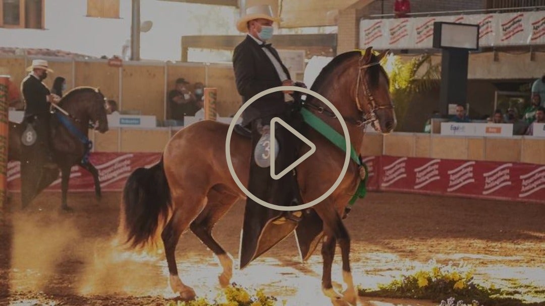 El top 10 de los países con mayor consumo de carne de res, cerdo, pollo y pescado | Agronegocios.co