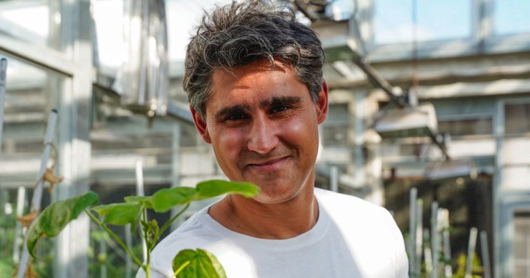 Gastón Paladini, el argentino que quiere revolucionar los cultivos ...
