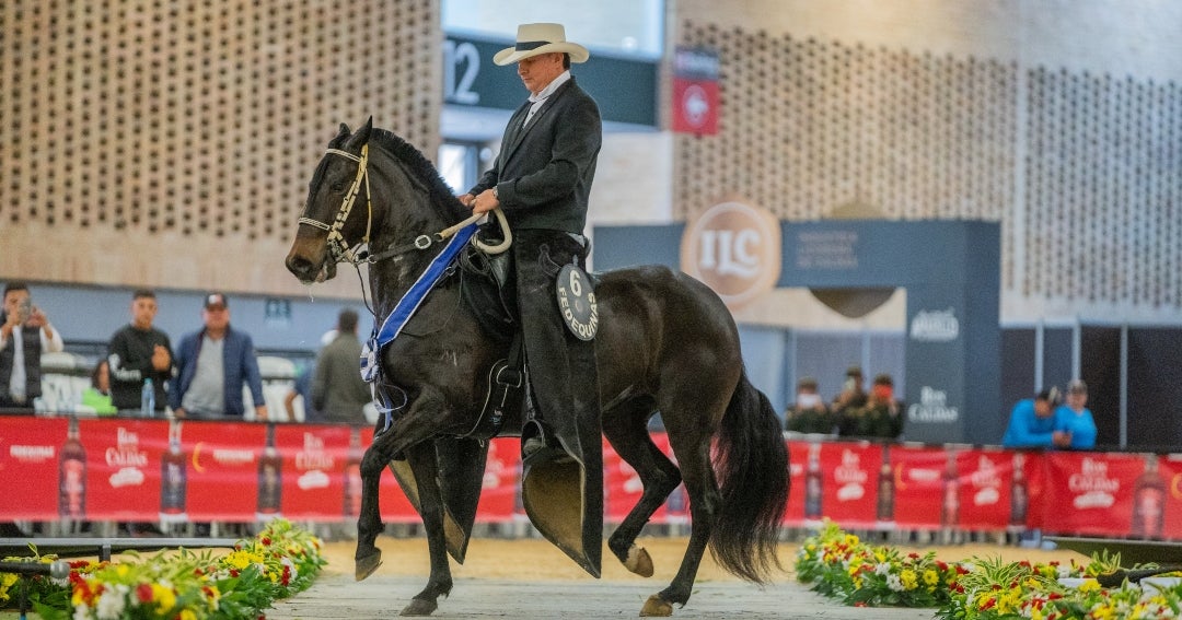 Con trocha y galope empezó la máxima cita del gremio caballista en ...