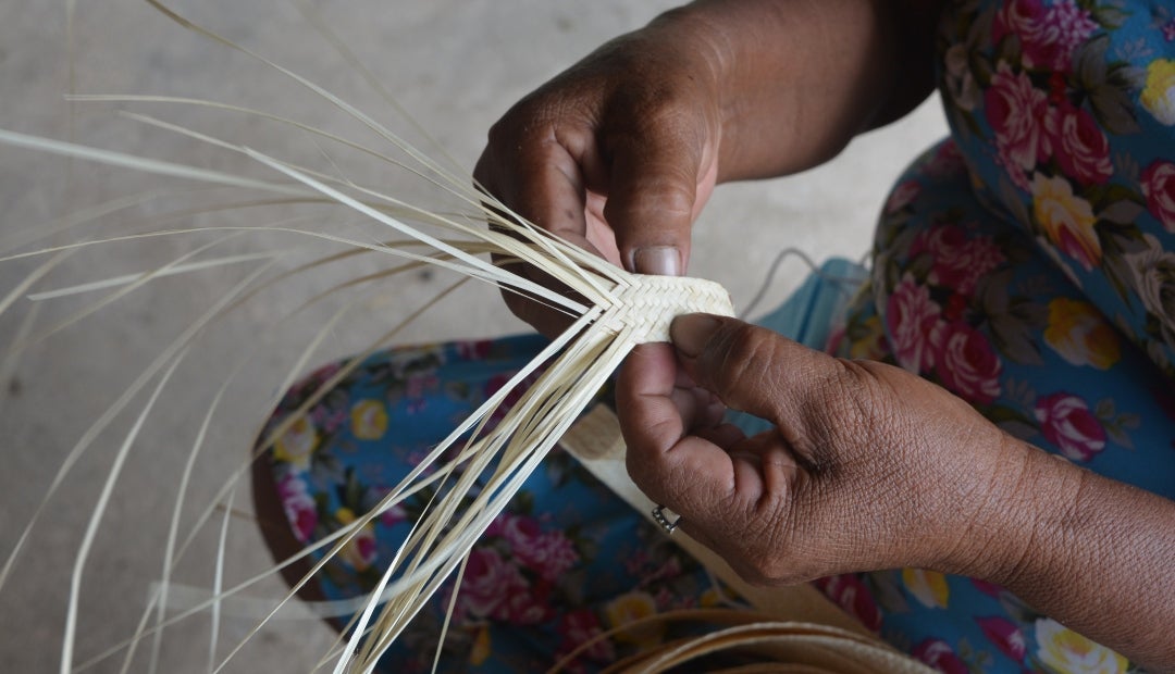 Etno Tour Zenú, corporación que mantiene viva la tradición del pueblo ...