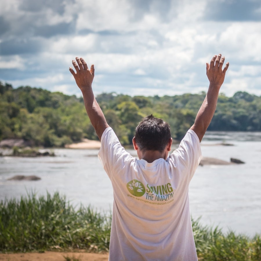 Así es el proyecto que propone sembrar árboles en la extensa y maltratada Amazonía