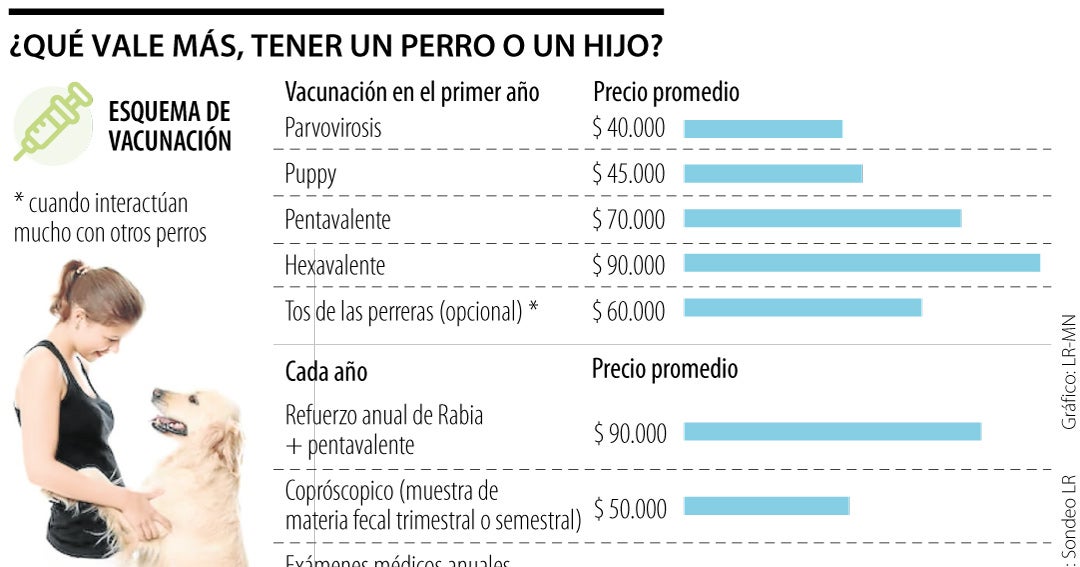 Tener un perro le puede costar $55 millones en los cinco primeros años ...