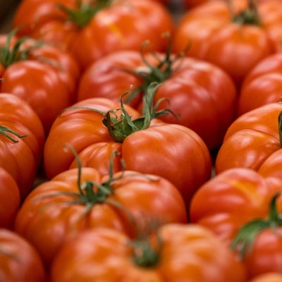 Tomate chonto y el aguacate hass, productos que mayor variación de ...