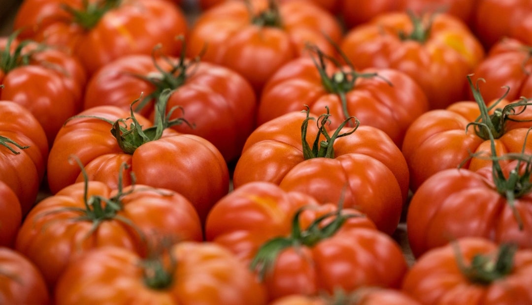 Tomate chonto y el aguacate hass, productos que mayor variación de ...