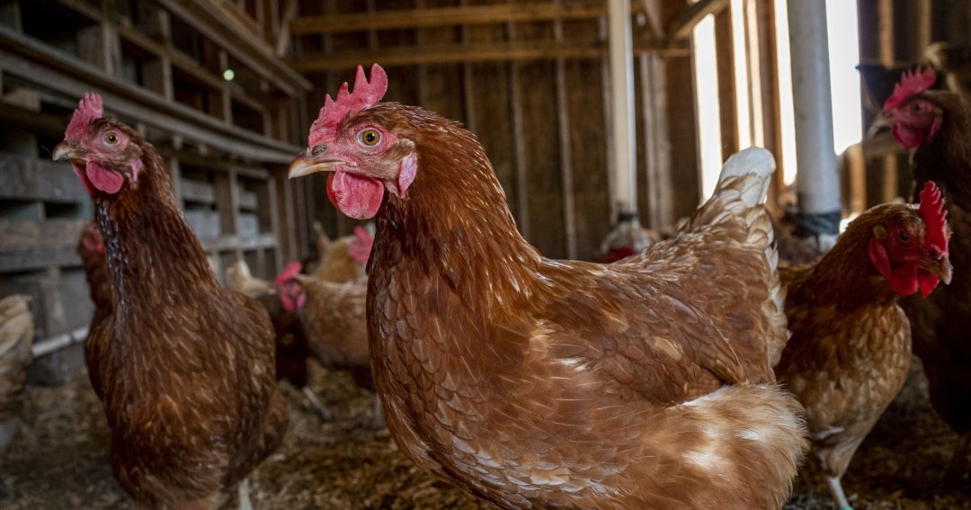 Conozca tres aplicaciones que le ayudan a gestionar y potenciar su ...