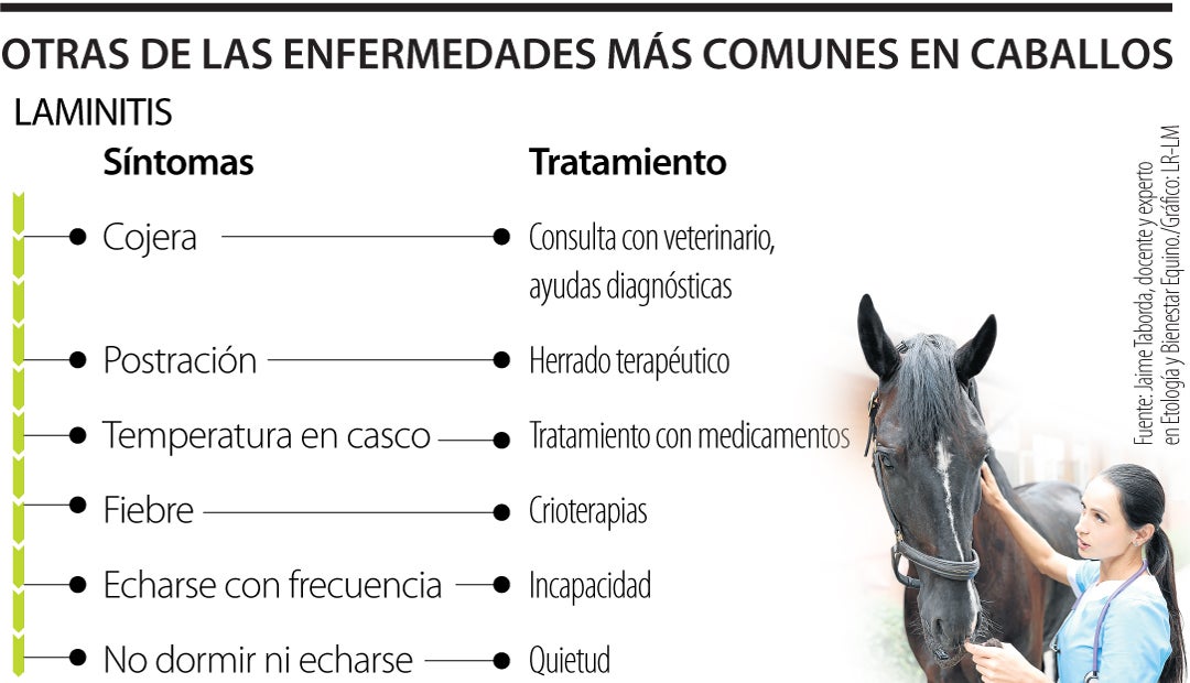 Detecte los síntomas del síndrome abdominal agudo, una patología común ...