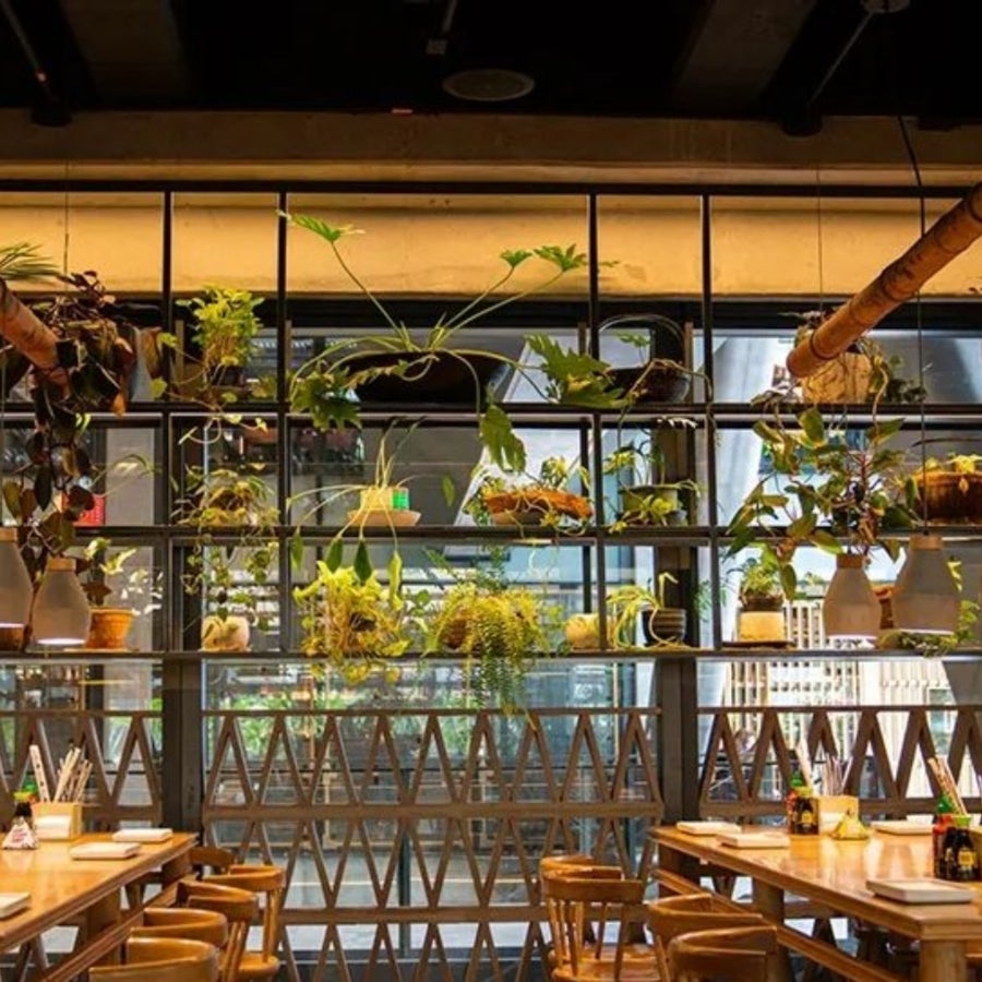 KO Asian Kitchen, siete países y un solo lugar ubicado en frente al ...