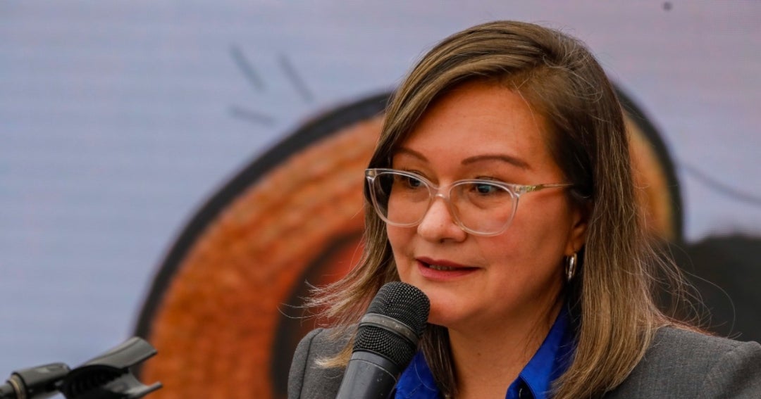 Aunque dejó la dirección del DPS, Rusinque ya no será jefe del gabinete ...