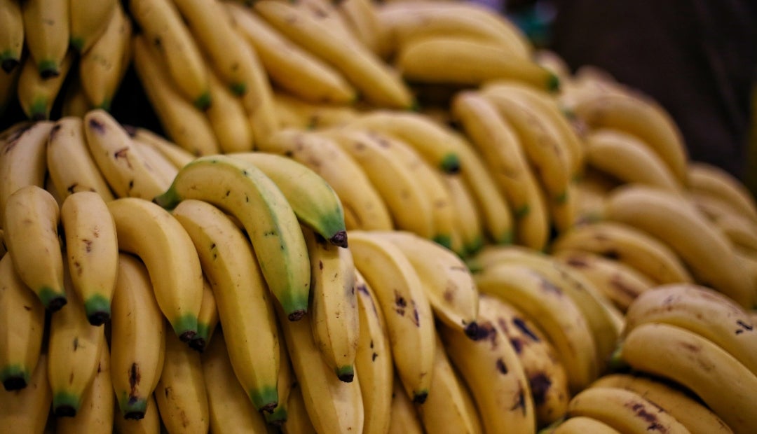 Así fue el reporte de exportaciones y la presencia internacional del ...