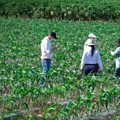 Fondo para la Mujer Rural recibirá $200.000 millones para impulsar ...