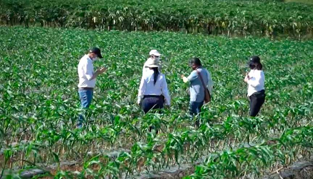 Fondo para la Mujer Rural recibirá $200.000 millones para impulsar ...