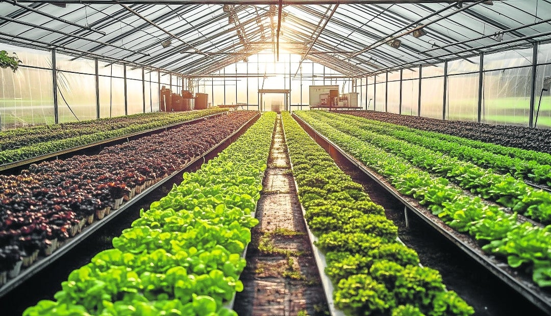 Cerca de 35.000 familias se dedican al negocio de los viveros ...