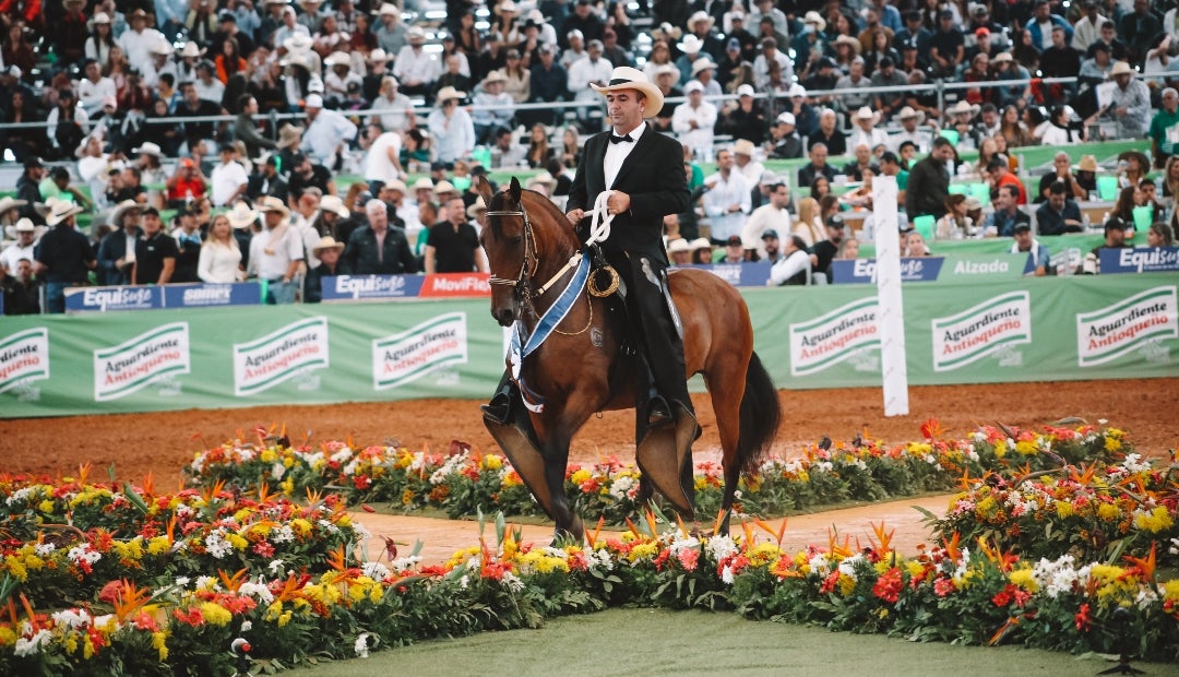 El papel del caballo criollo colombiano en el tejido social y económico ...