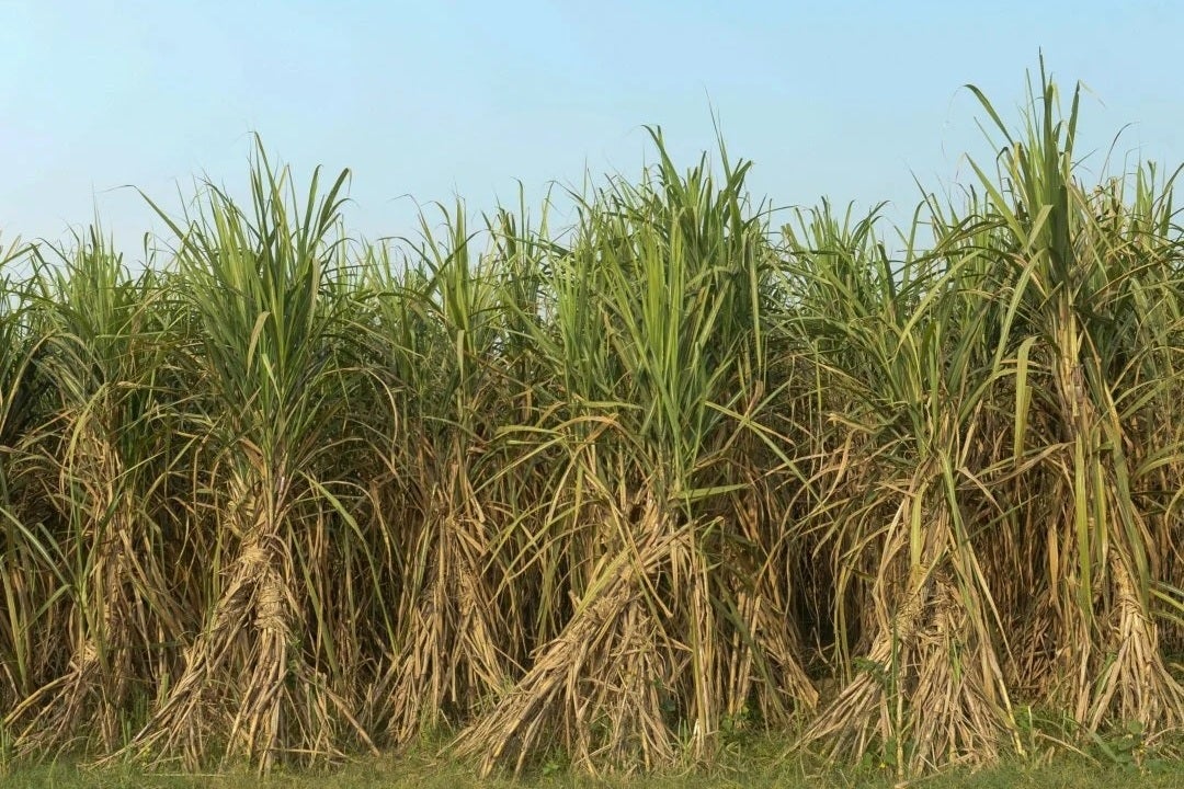 Procaña rechazó secuestro de una niña de ocho años y su padre en un ...