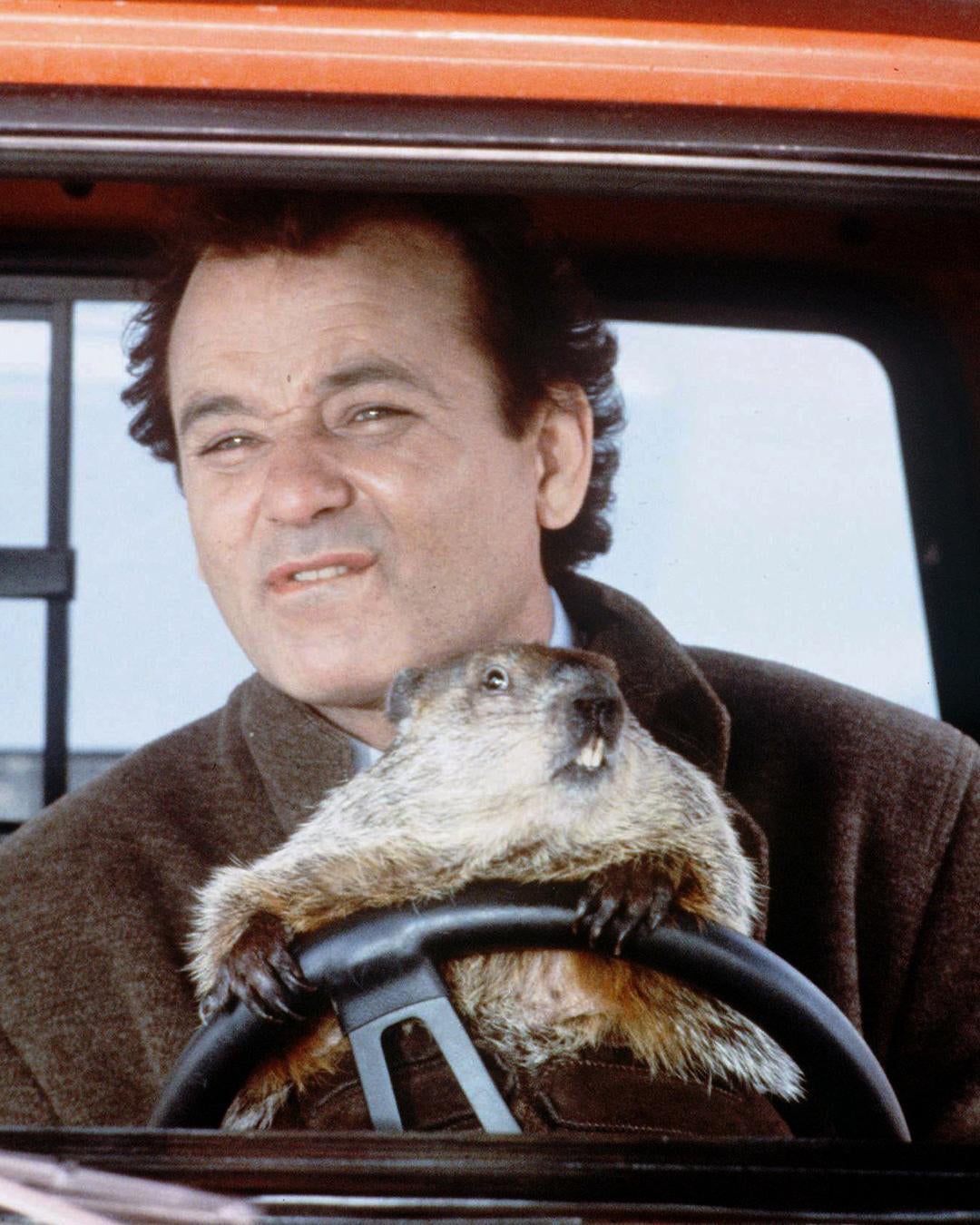 Groundhog Day ¿Por qué es importante para Estados Unidos el Día de la ...