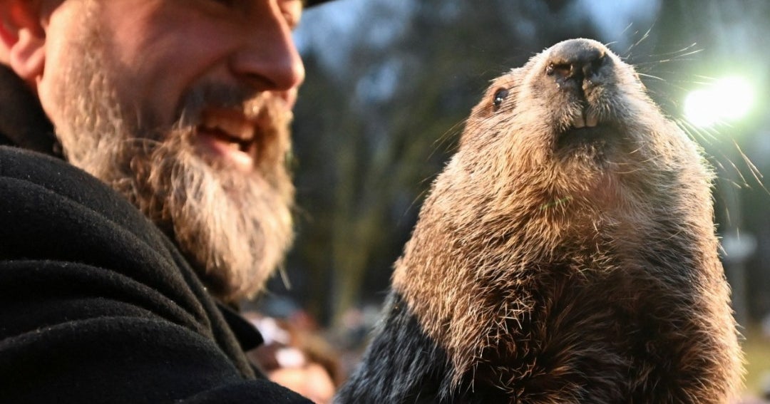 Groundhog Day ¿Por qué es importante para Estados Unidos el Día de la ...