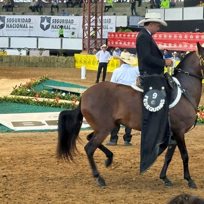 Material biológico criollo Colombiano, uno de los máximos exportadores mundiales | Agronegocios.co