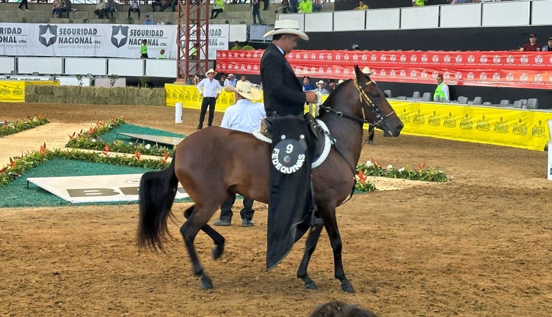 Material biológico criollo Colombiano, uno de los máximos exportadores mundiales | Agronegocios.co