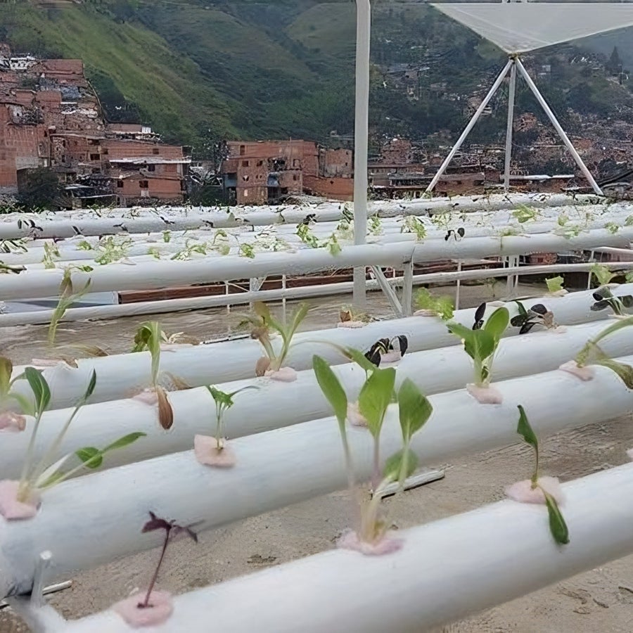 SolversLab ayuda a las empresas a mejorar sus indicadores de desarrollo ...