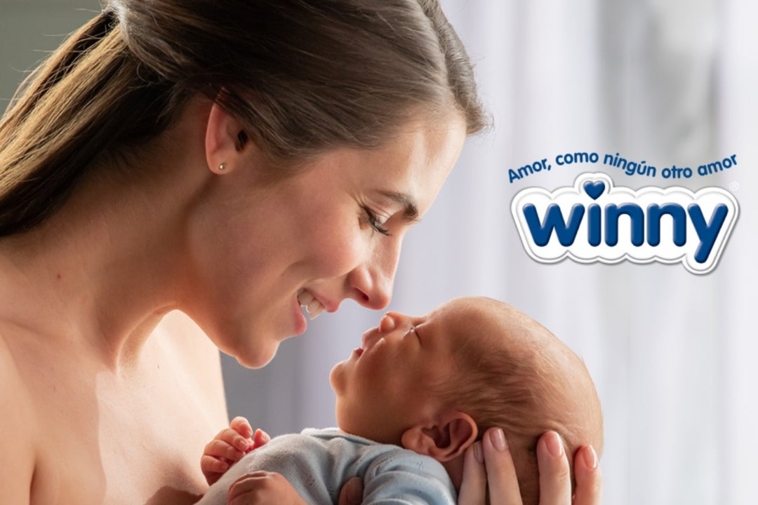 Winny detuvo registro de la marca solicitada WIWI ante la ...