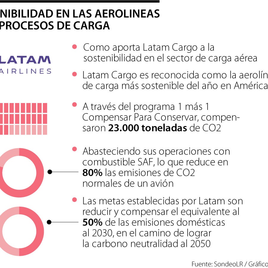 El combustible SAF, un recurso esencial en la sostenibilidad de los ...