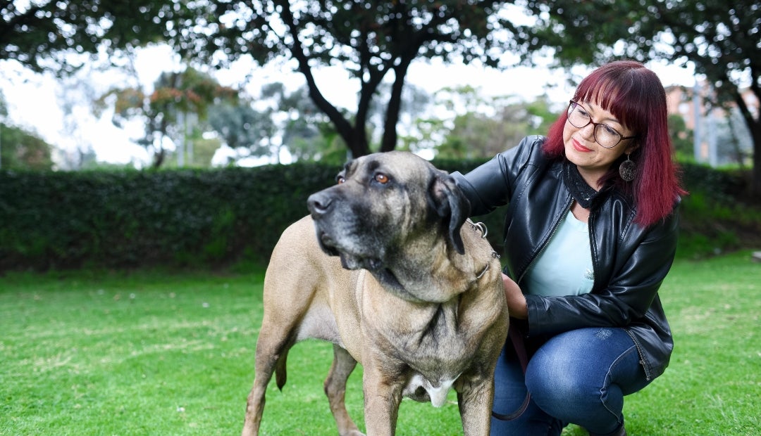 Cámara de Comercio de Bogotá lanzó clúster PyBA para impulsar el ...