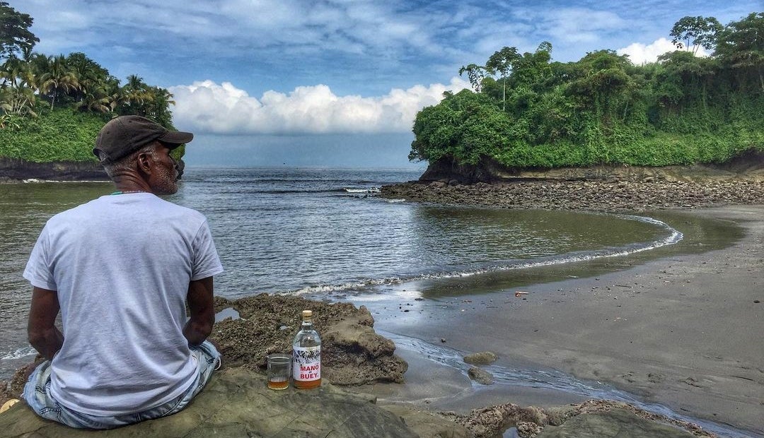 Viche, el producto originario del pacífico colombiano que busca un ...