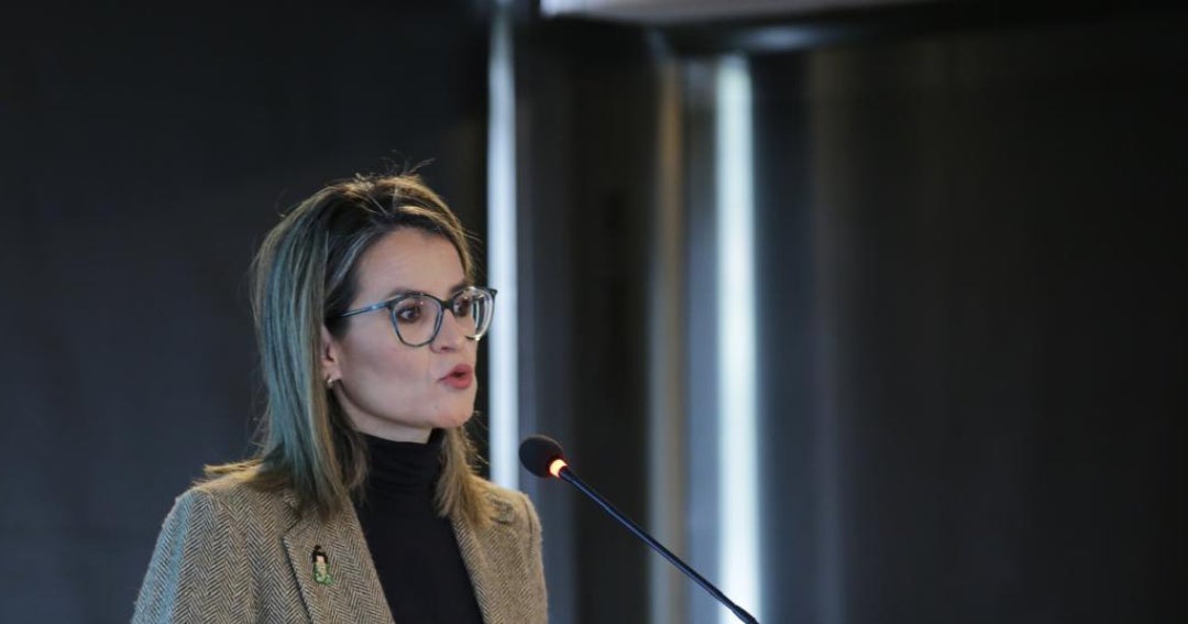 “Bogotá concentra a 60% de la base de startups del país, se enfoca en ...