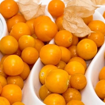 La uchuva supera por primera vez la barrera de los US$40 millones en ...