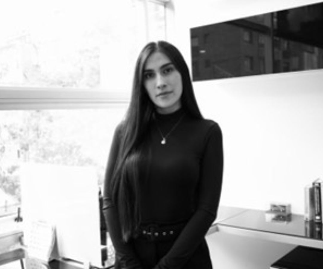 Improcedencia de los vicios redhibitorios en promesas de compraventa ...