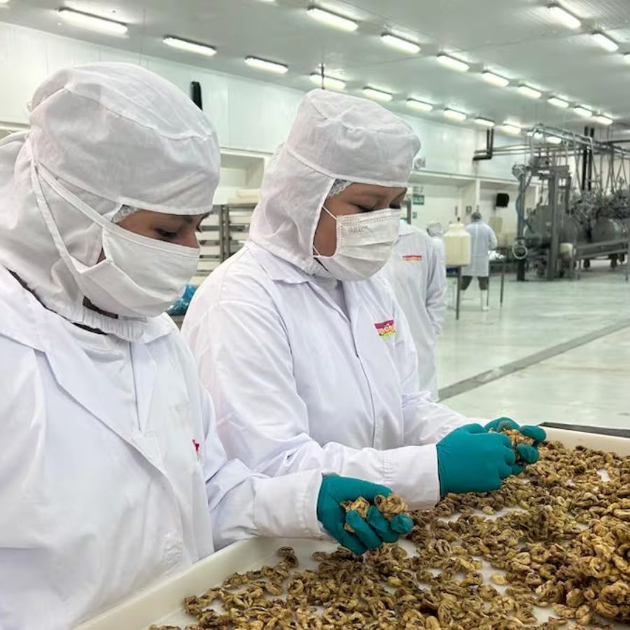 Foodtech BranchOut abre planta en Perú y apunta a generar ventas de US$40 millones