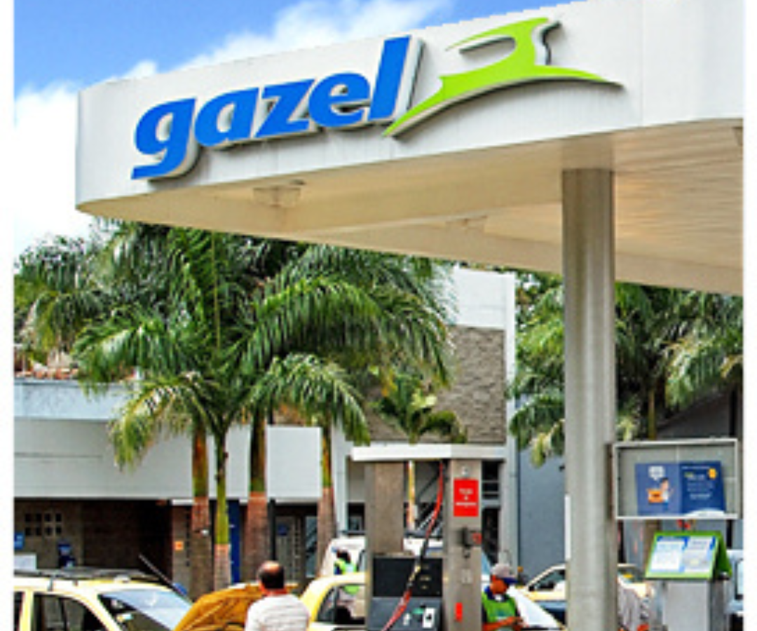 Por similitudes, Gacel detuvo registro de la marca Gazel de Terpel ante ...