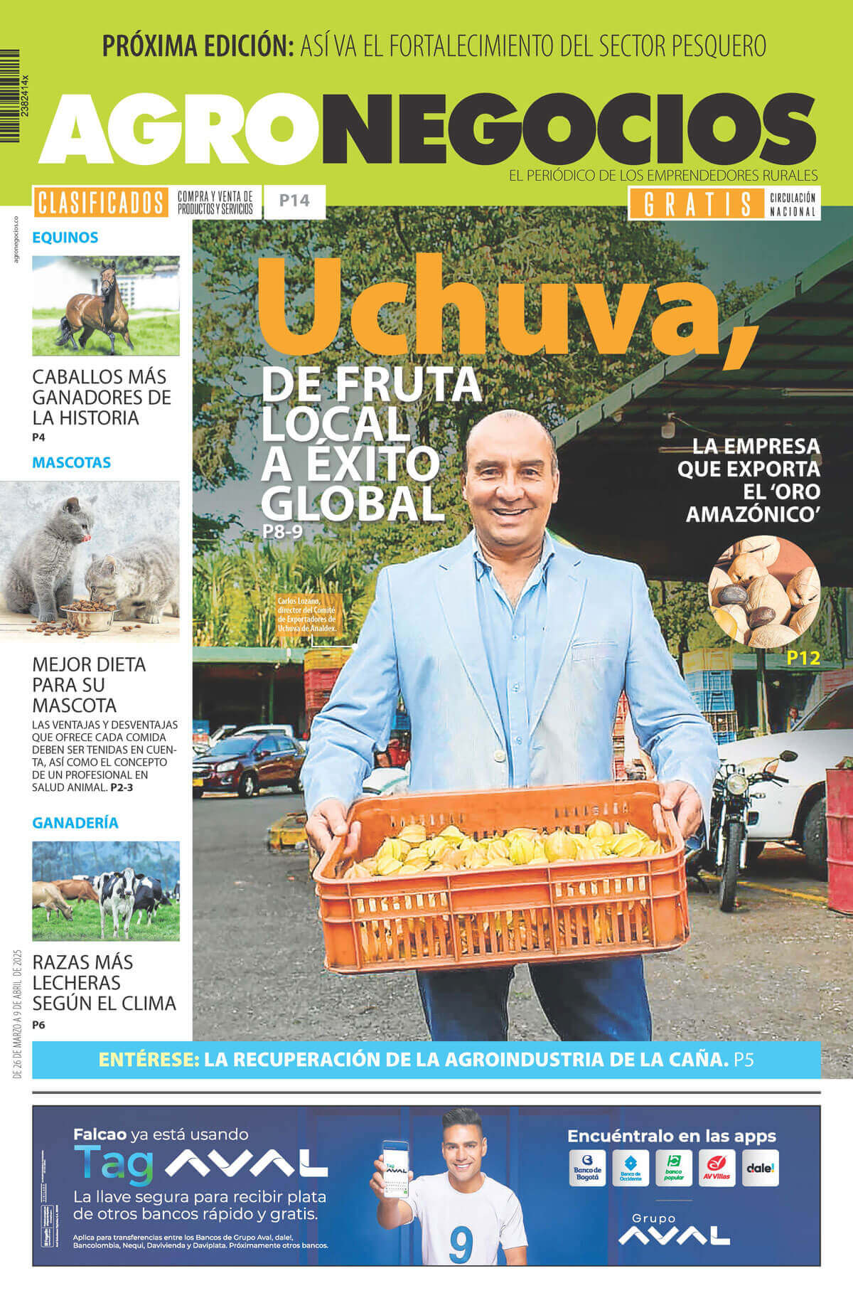 Silo de maíz, un alimento efectivo como suplemento para el ganado ...