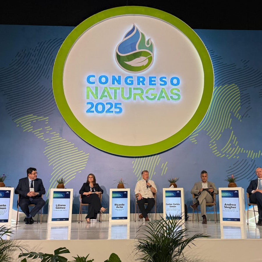 En primer día del Congreso Naturgas, empresas del sector piden garantizar el suministro