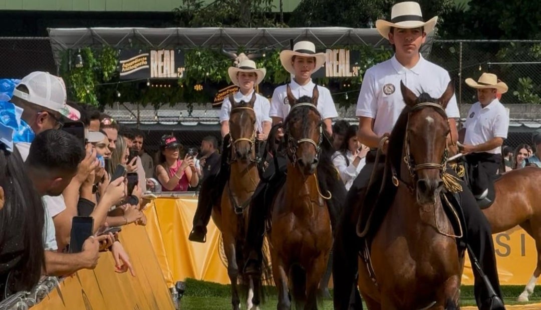 Caballo criollo colombiano brilló en el concierto que se celebró en ...