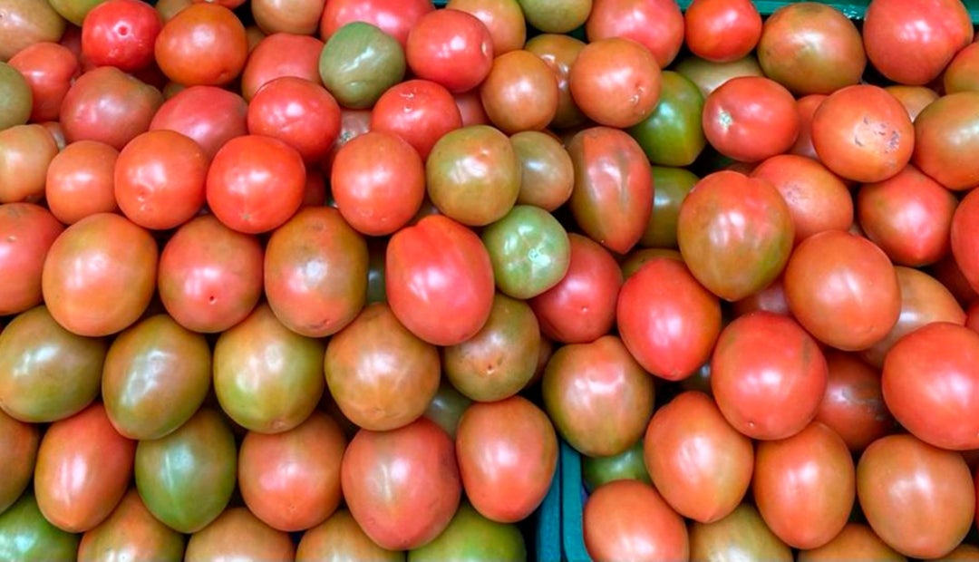El tomate chonto no para de cambiar su precio; esta semana empezó con ...