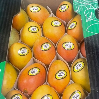 Colfrutta: la empresa que endulza el mundo con el mango de azúcar ...