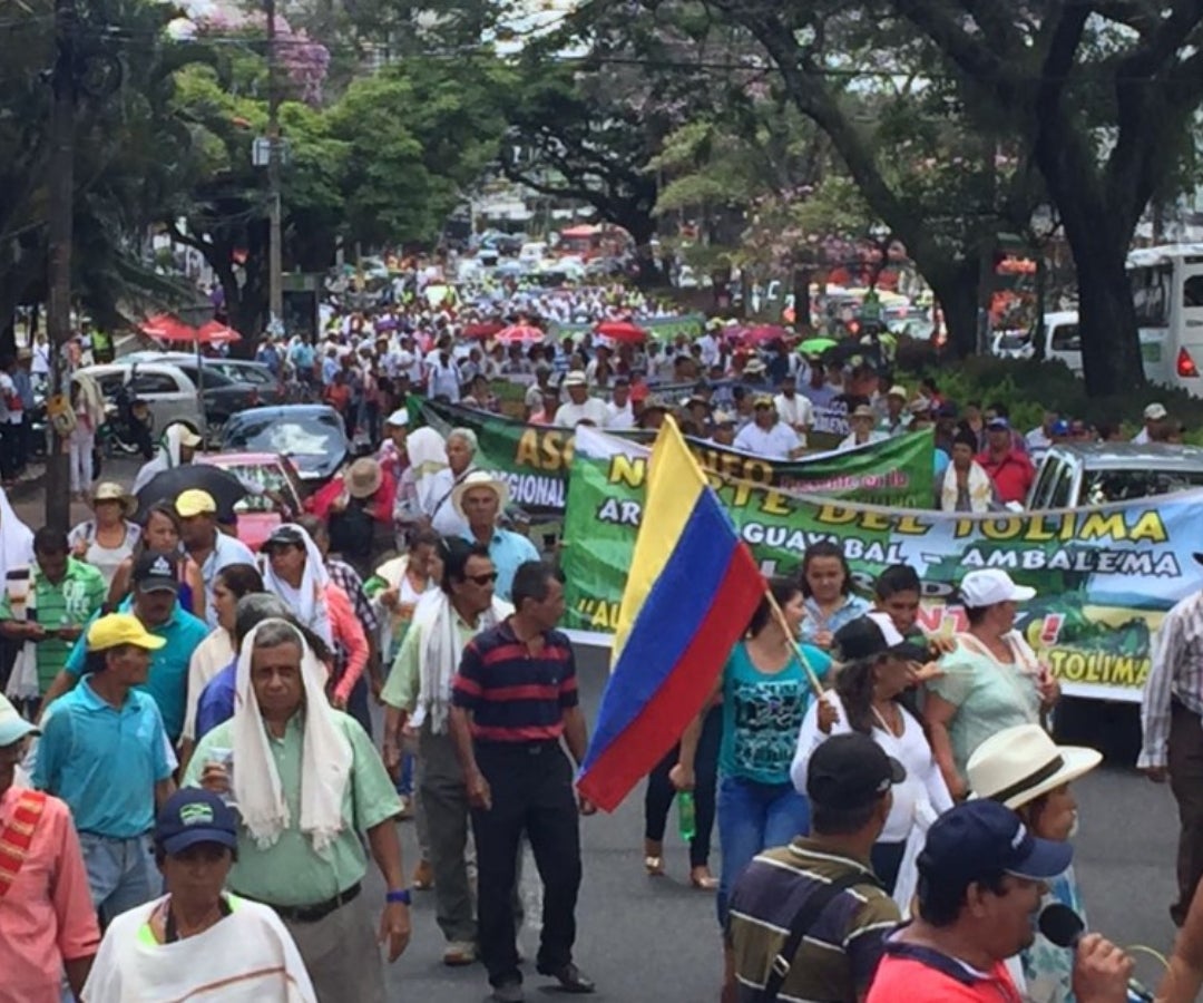 Arroceros del país irán a paro desde el próximo 14 de julio por bajos ...