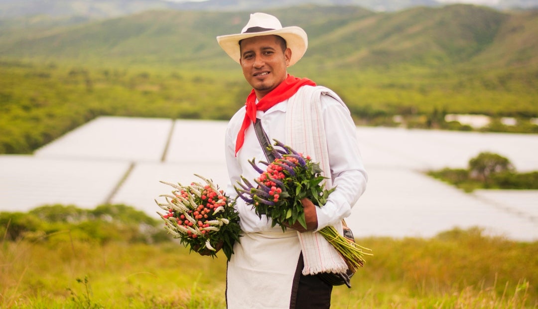 Florius, la empresa que lleva flores colombianas a Estados Unidos y ...