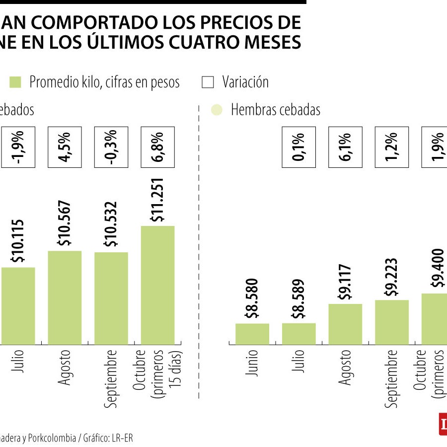En los últimos cuatro meses, el precio de la carne se disparó 9,1% y el ...