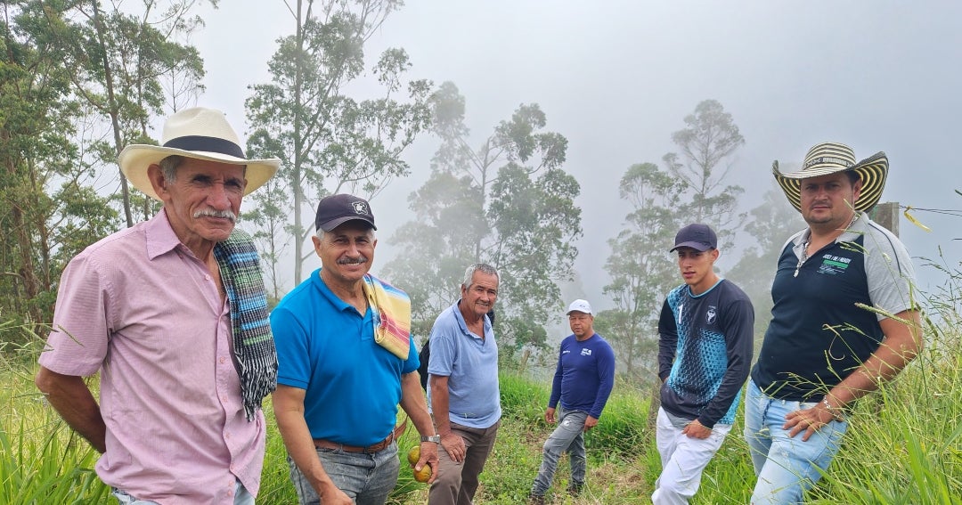 Postobón y Frisby lanzan 'Raíces Futuras', iniciativa para beneficiar a ...