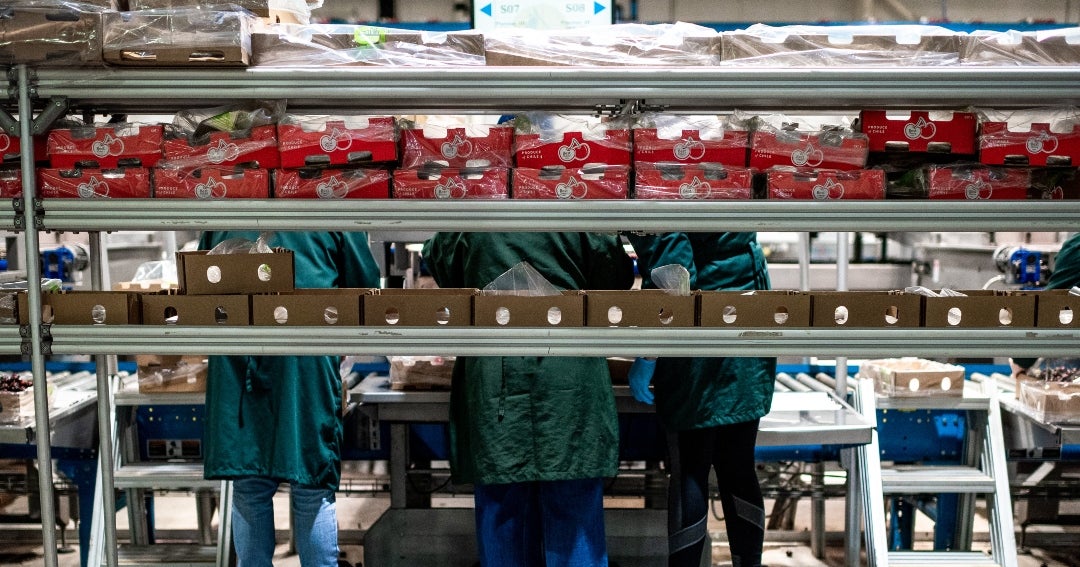 Ventas de cerezas chilenas a China registró una segunda temporada ...