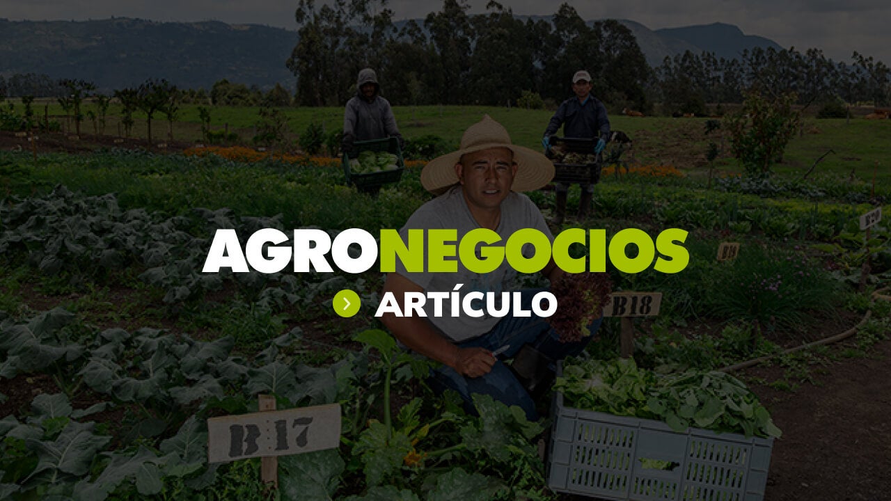El Niño será la prueba de fuego para la agricultura - Casa de campo ...